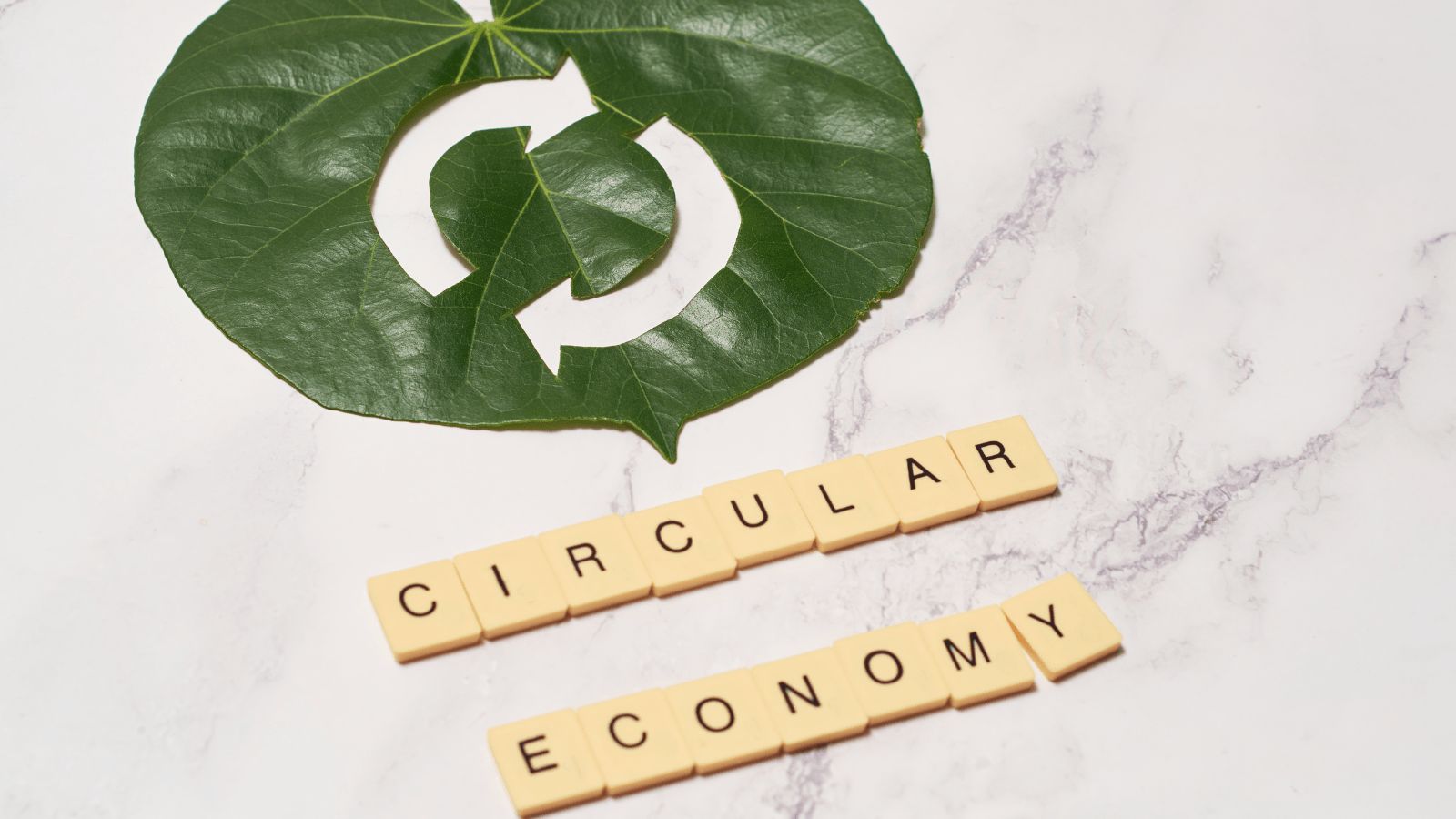 Why Circular Business Models Will Define the Future of Fashion - BSL ...